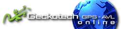 Geckotech Online México
